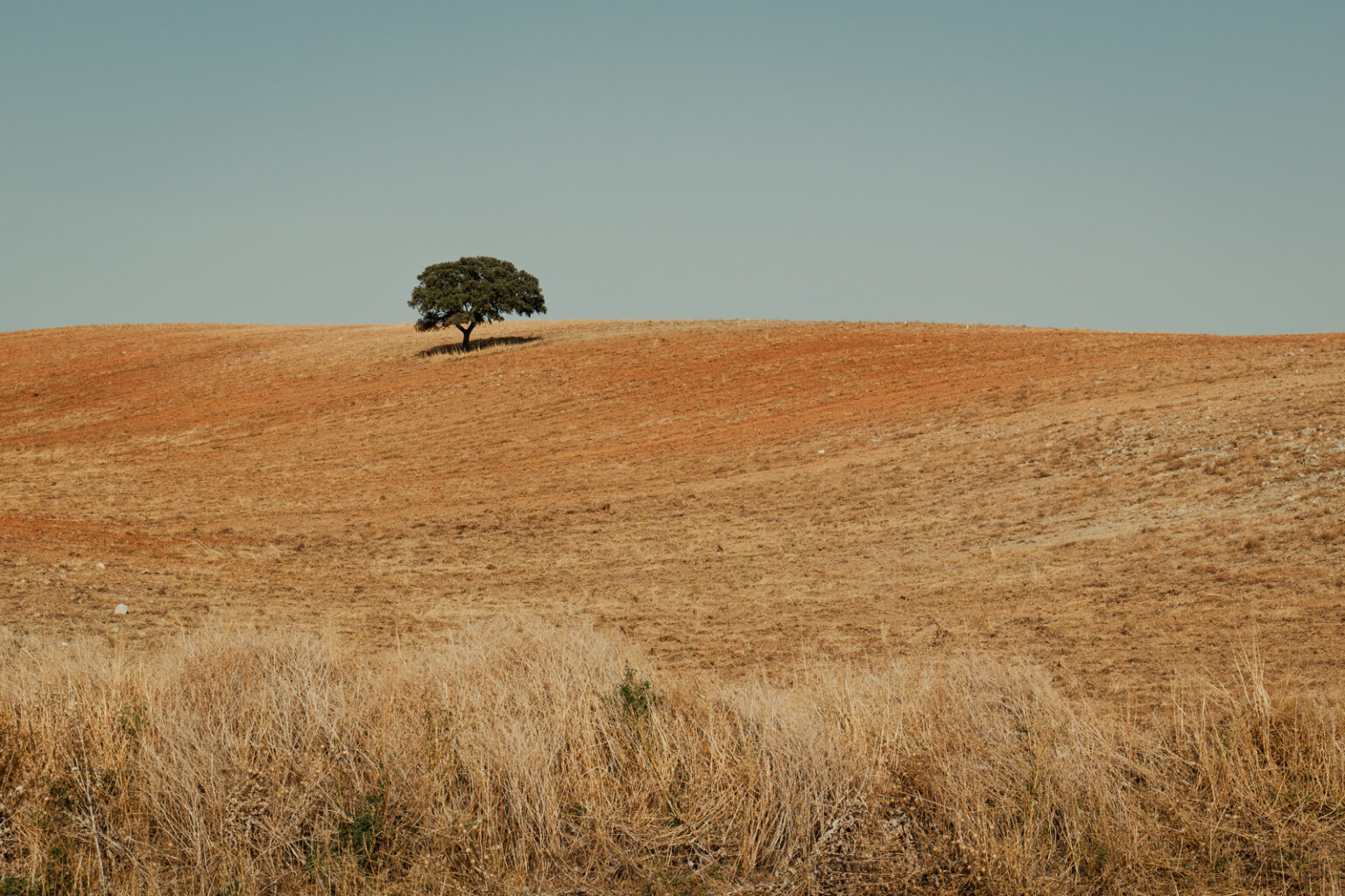The Essence of Alentejo - Pictury Photo Tours